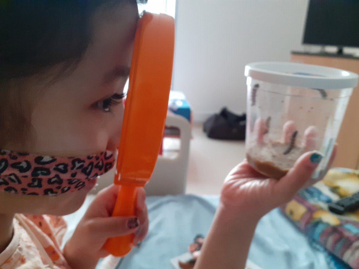 Learning Means the World – Manchester Hospital School